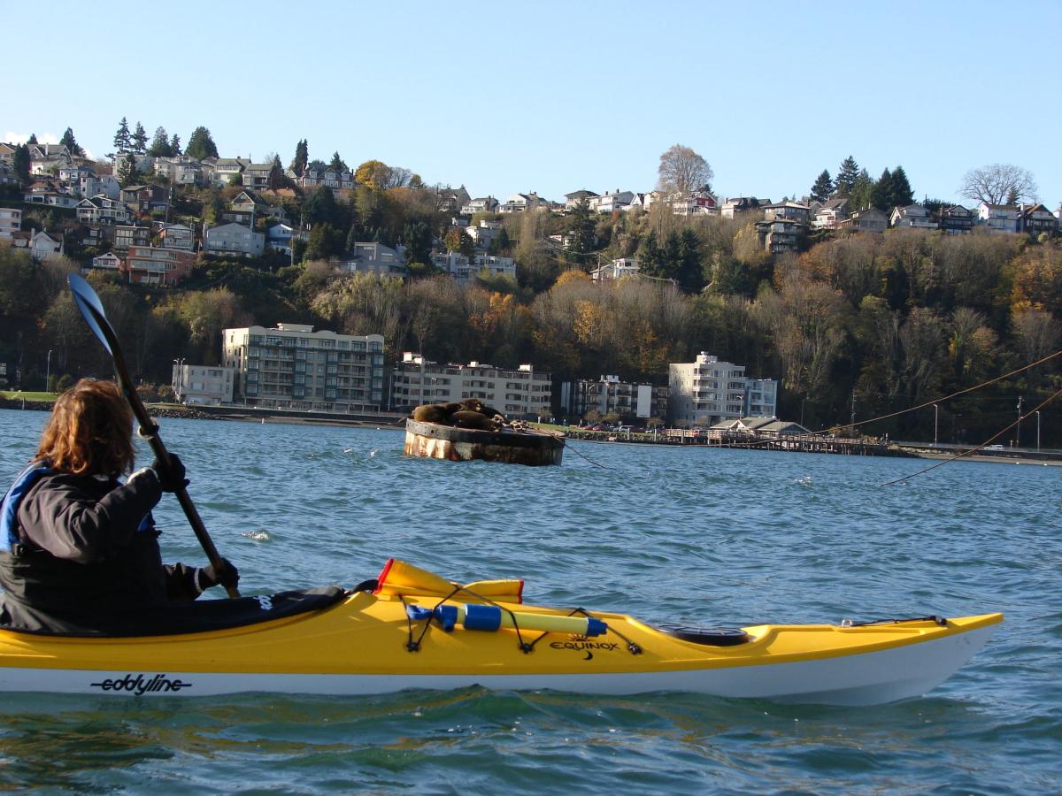 Alki Kayak Tours | Kayak Tours, Classes, & Rentals - Seattle, WA