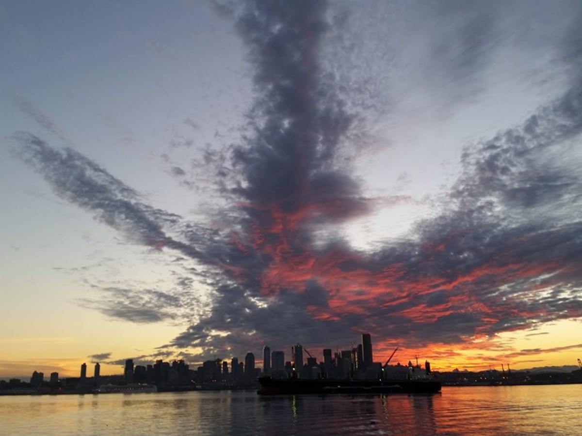 Alki Kayak Tours | Kayak Tours, Classes, & Rentals - Seattle, WA