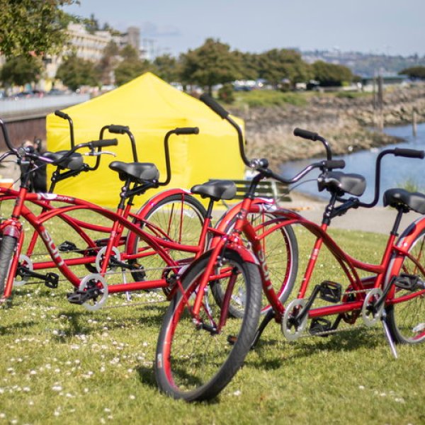 Explore Kayak, Bike, & SUP Rentals in Seattle | Alki Kayak Tours